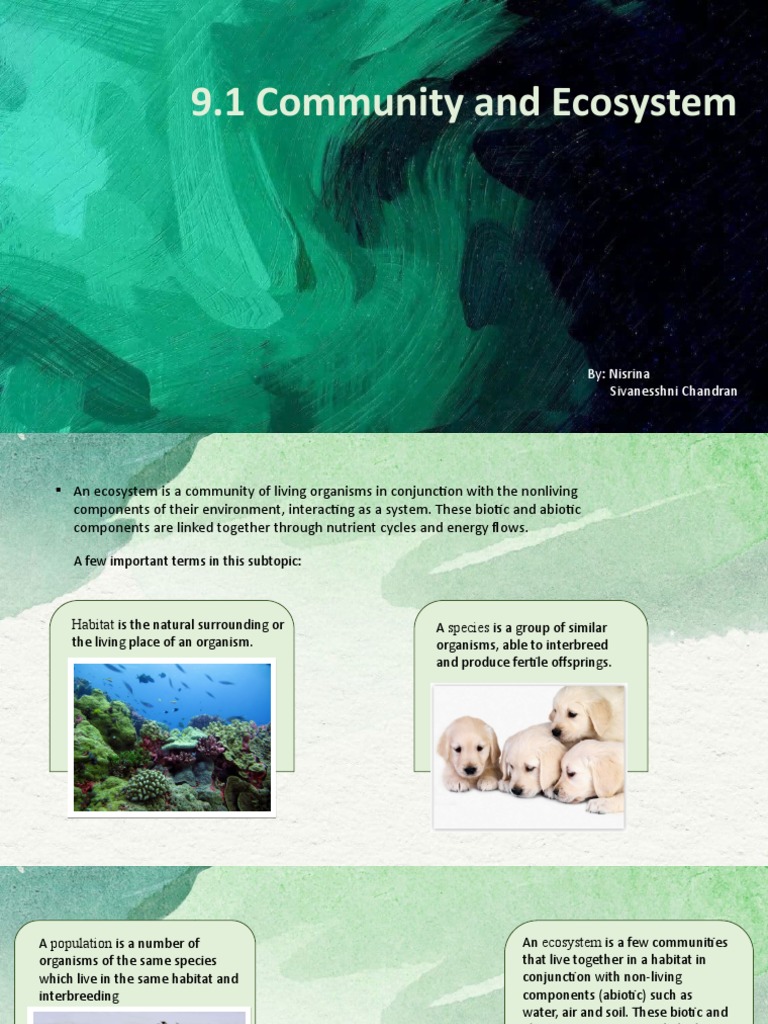 Understanding Ecosystems and Communities | PDF