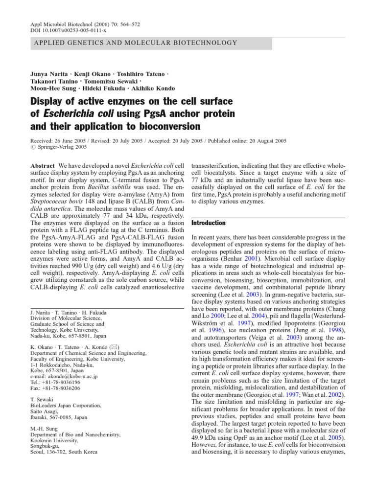 T Display of Active Enzymes On The Cell Surface of Escherichia Coli ...