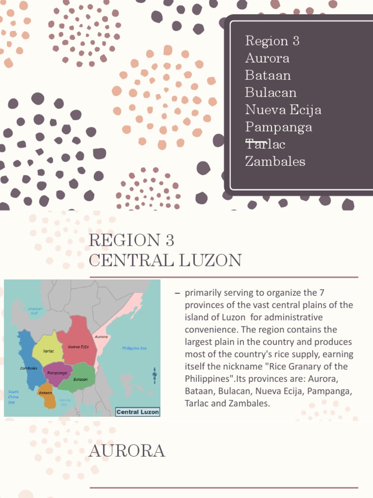 Central Luzon: Cuisine and Delicacies | PDF | Cooking | Foods