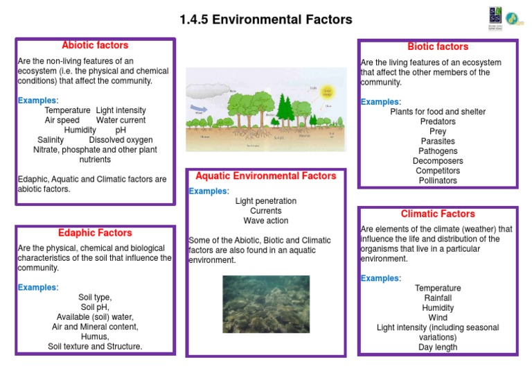 1.4.5 Environmental Factors Poster | PDF | Aquatic Ecosystem | Soil
