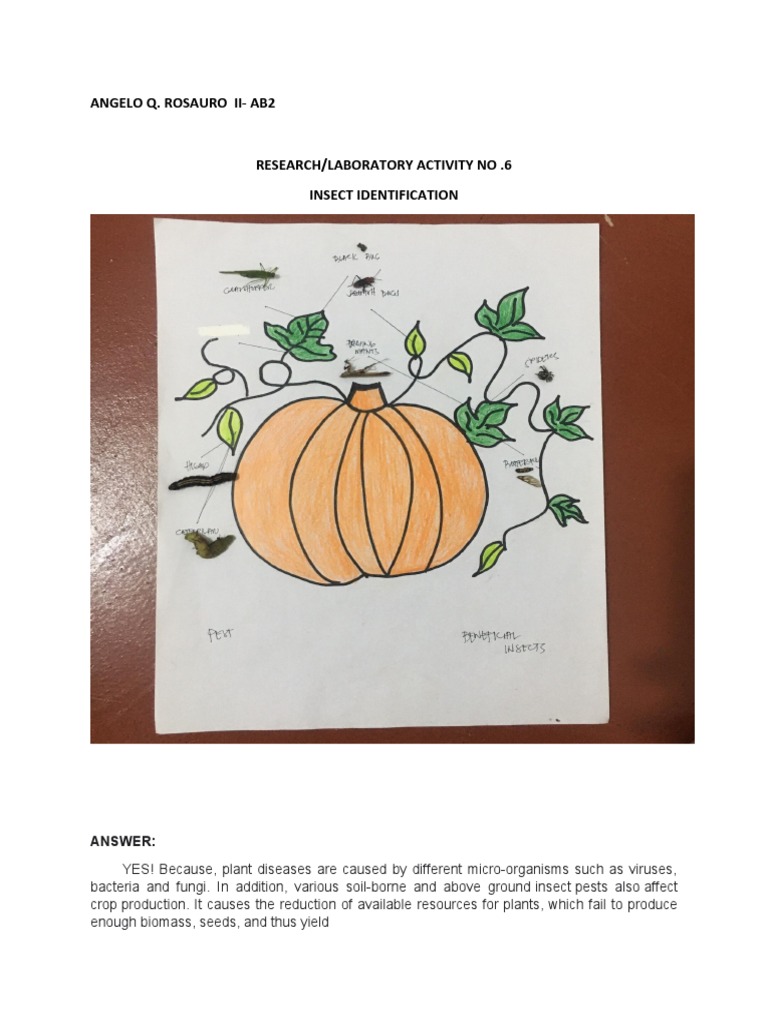 Act. No.6 Angelo Q. Rosauro II Ab2 | PDF