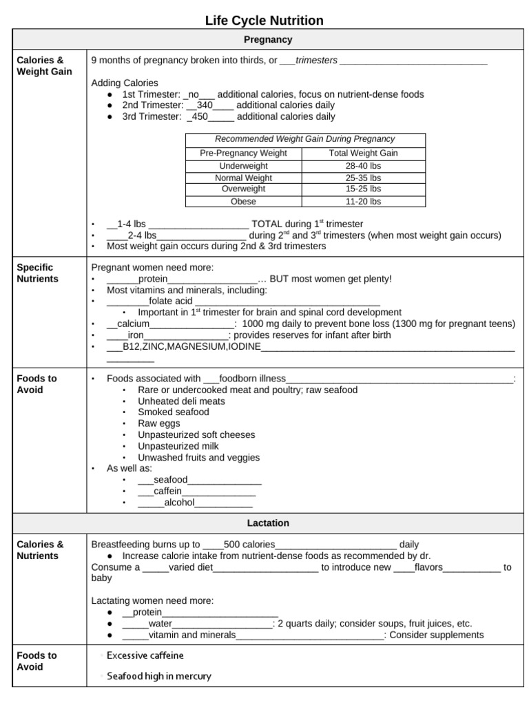 Copy of Life Cycle Nutrition Notes | PDF | Breastfeeding | Pregnancy