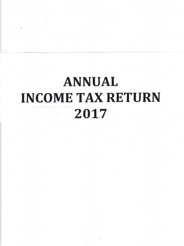 Annual Income Tax Return | PDF