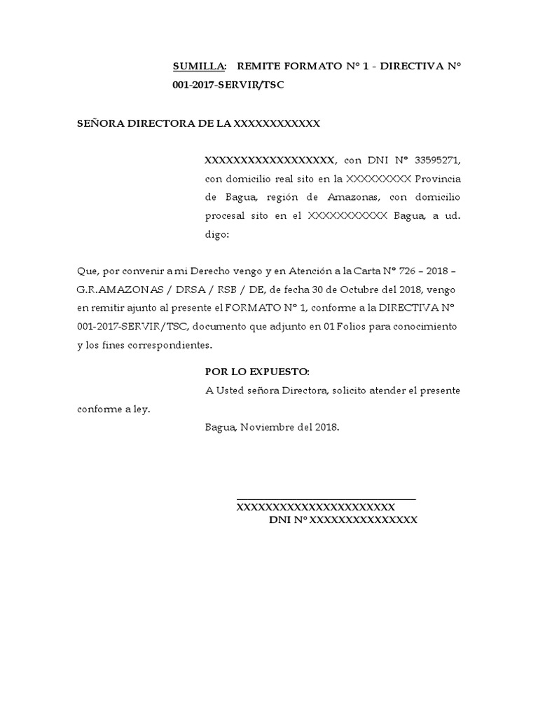 Remite Formato | PDF