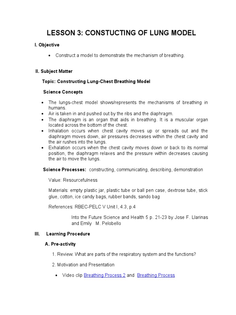 Lesson 3 Lung Model | PDF | Breathing | Lung