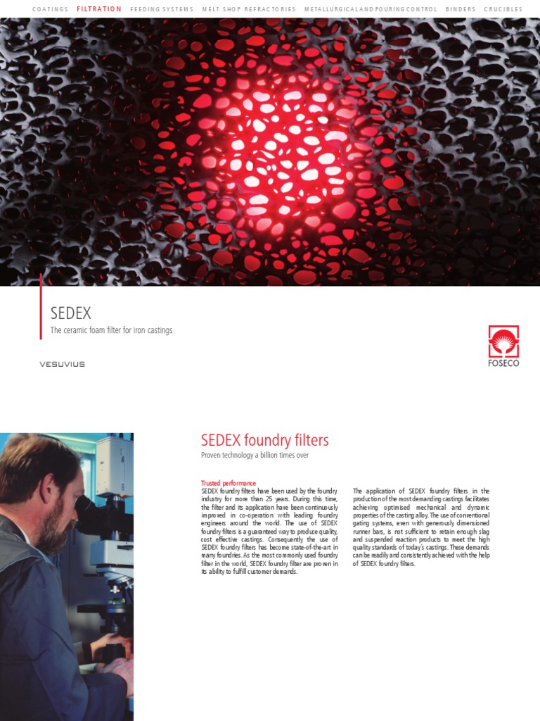SEDEX Filter | PDF | Foundry | Casting (Metalworking)