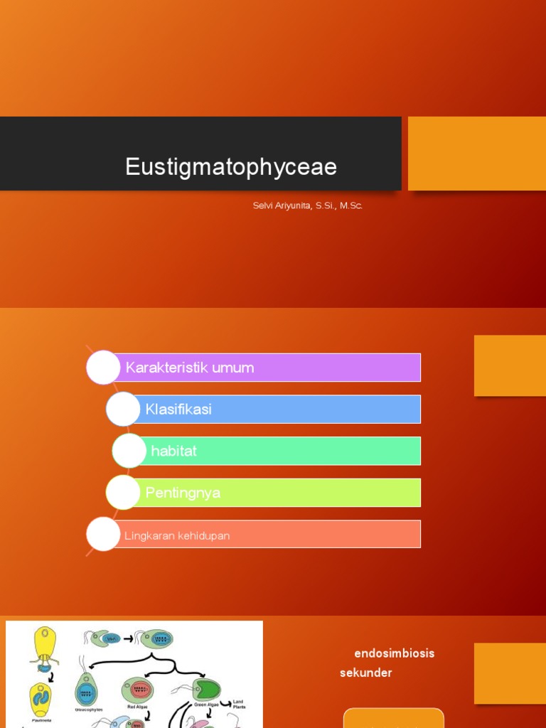 Karakteristik Eustigmatophyceae dan Potensinya | PDF