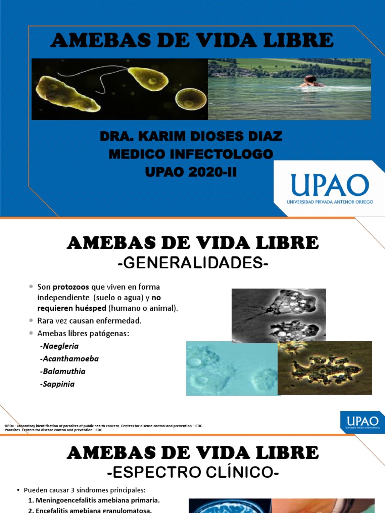 Generalidades sobre las principales enfermedades causadas por amebas de vida libre | PDF ...