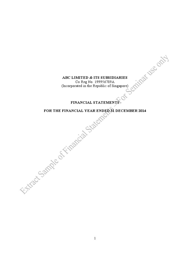 Extract Sample of Financial Statements For Seminar Use Only | PDF ...
