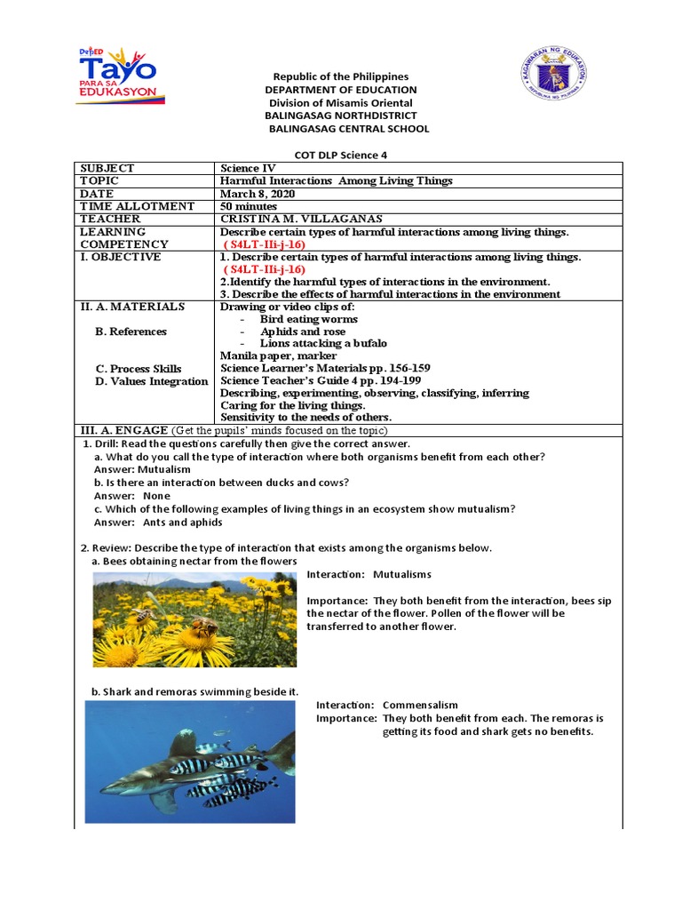 Interactions Among Living Things