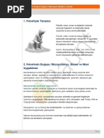 10.sinif Yeni Mufredat Felsefe Ders Notlari | PDF