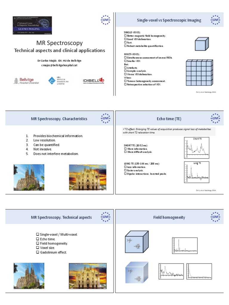 MR Spectroscopy: Technical Aspects and Clinical Applications | PDF ...