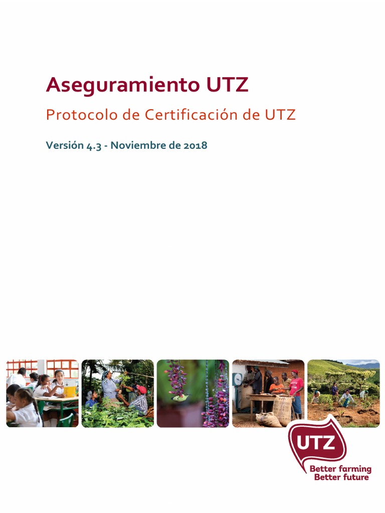 ES UTZ Certification-Protocol v4.3 2018 | PDF | Auditoría | Business