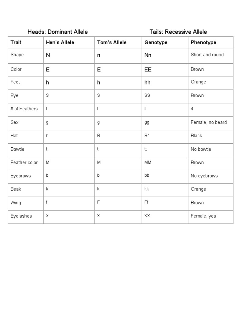Turkey Genetics Chart | PDF