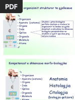 Adresari I Mjekëve Specialist Në QSUT | PDF