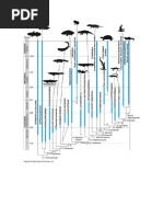 Características de los Sarcopterigios | PDF | Pescado | Vertebrados ...