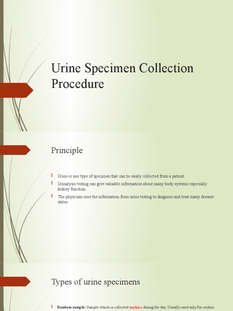 Urine Specimen Collection Procedure | Download Free PDF | Urine | Feces