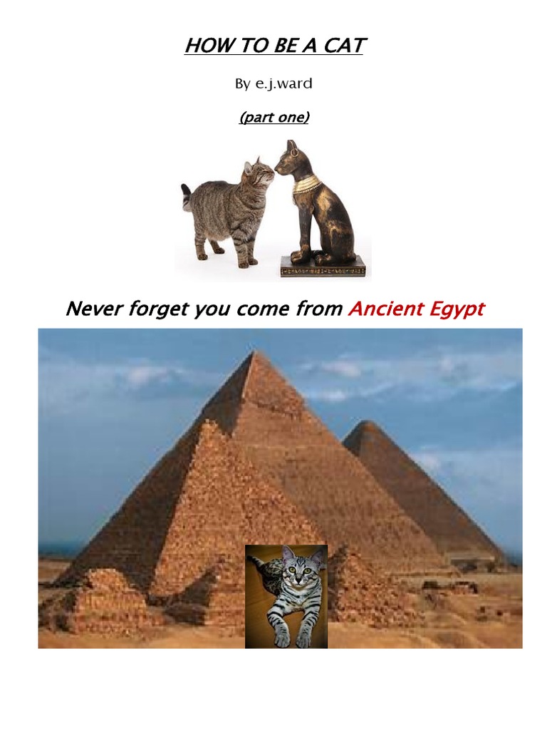 How To Be A Cat Part One | PDF