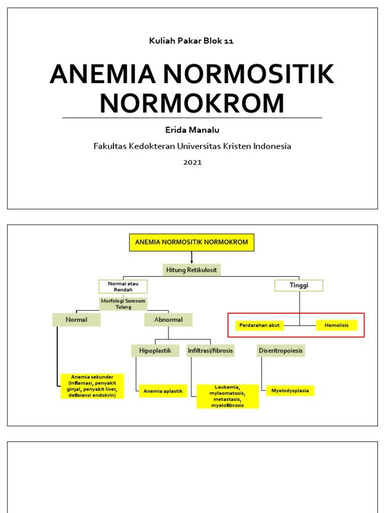 Anemia Normositik Normokrom | PDF