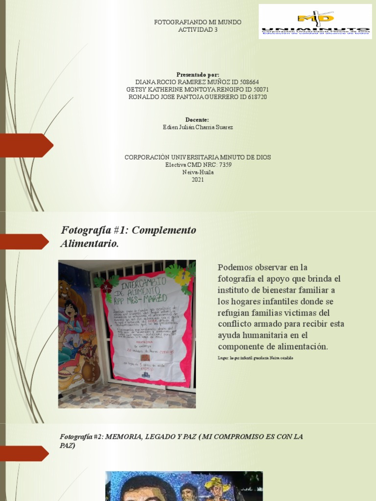 Actividad 3 ELECTIVA CMD | PDF
