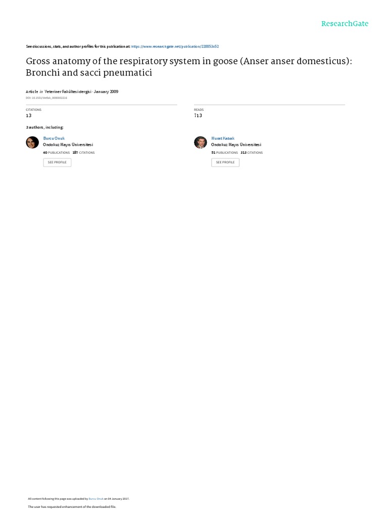 ANATOMY OF THE RESPIRATORY SYSTEM IN GEESE | PDF | Lung | Thorax (Human ...
