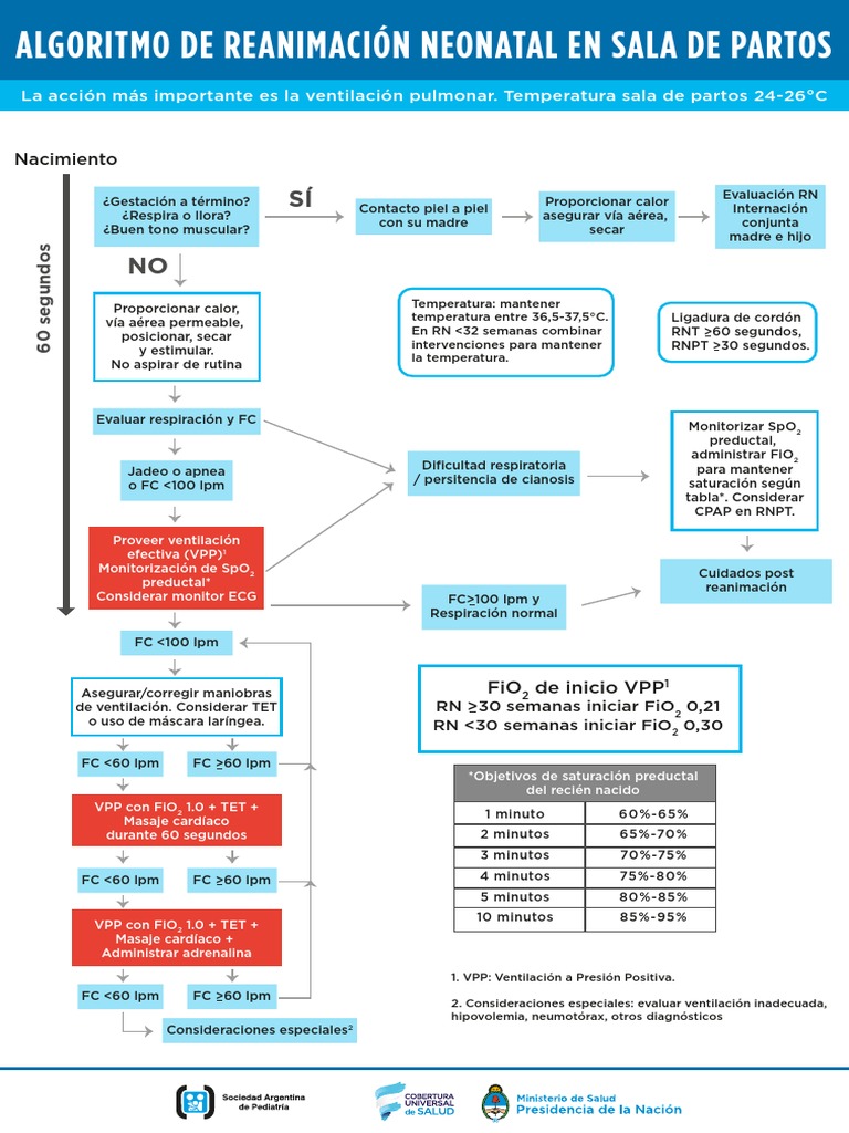 Algoritmo Reanimacion Neonatal MSAL SAP | PDF | Reanimación cardiopulmonar | Fisiología