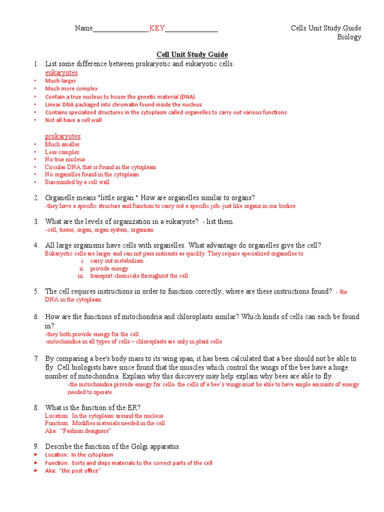 Cells Unit Study Guide | PDF | Osmosis | Cell (Biology)