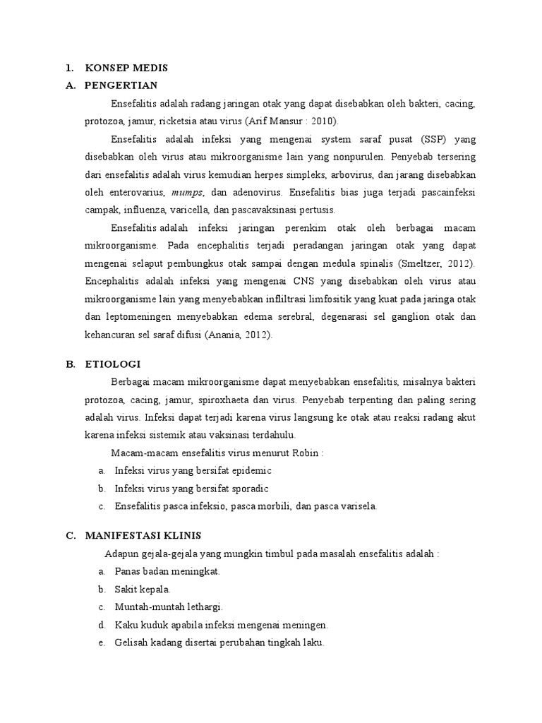 Laporan Pendahuluan Dengan Ensefalitis | PDF