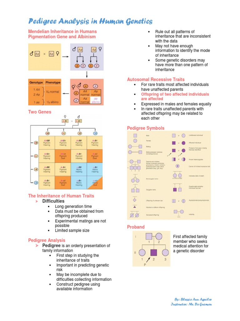 Human Pedigree Analysis Overview | PDF | Dominance (Genetics) | Zygosity