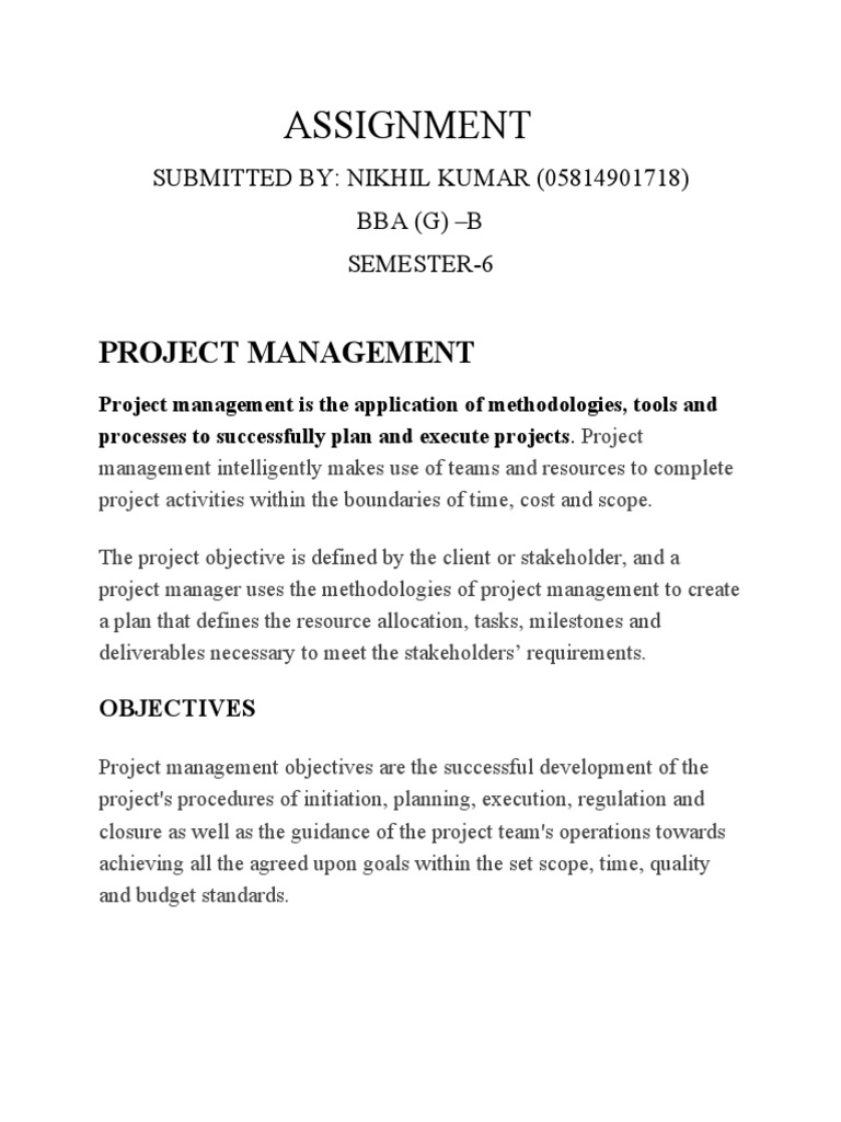 Assignment: Project Management | PDF | Project Management | Risk Management