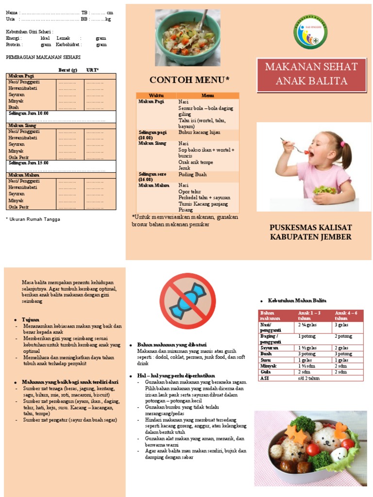 Leaflet Makanan Sehat Balita | PDF