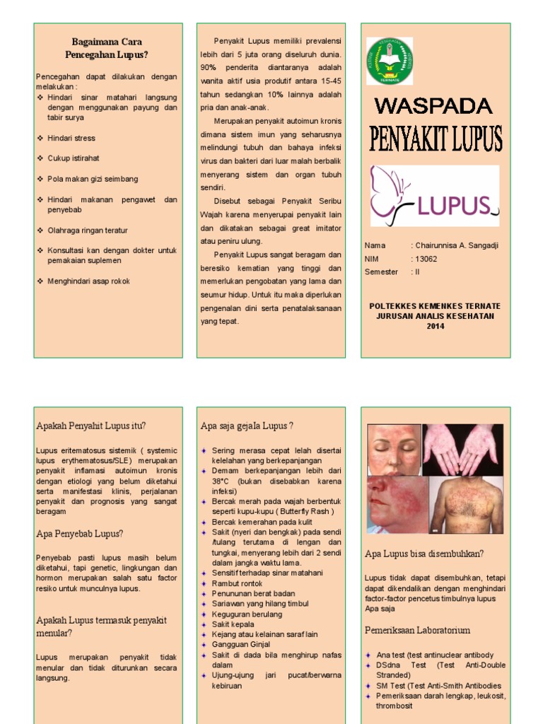 Leaflet Lupus | PDF