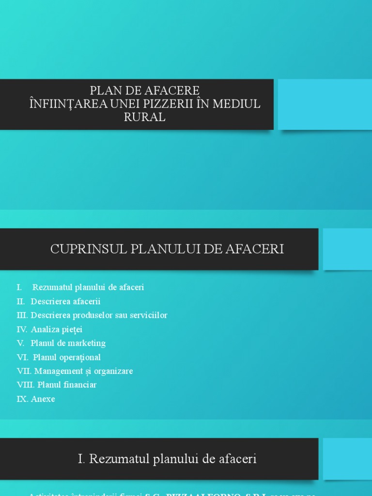 Plan de Afacere | PDF