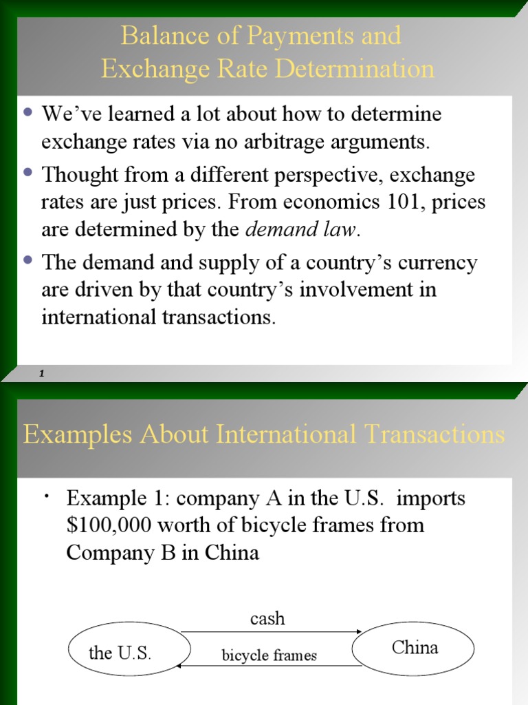 Balance of Payments and Exchange Rate Determination | Download Free PDF ...