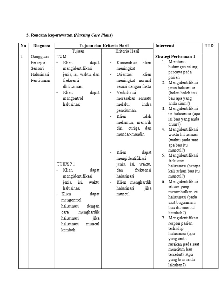 NCP Halusinasi Penciuman 2 | PDF