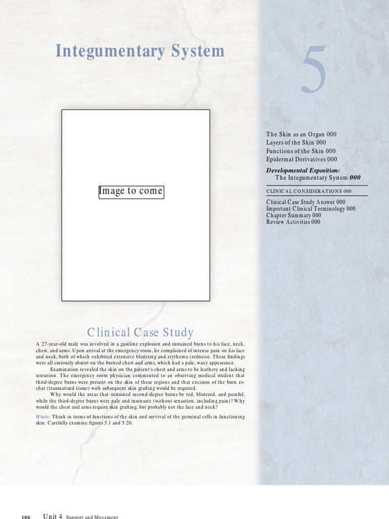 Clinical Case Study: Integumentary Burns | PDF | Skin | Epidermis