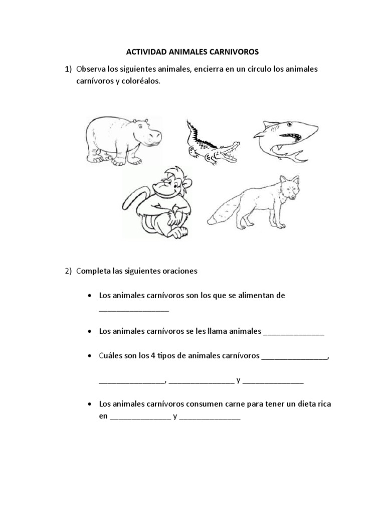 Actividad Animales Carnivoros Isaac | PDF | Salud y bienestar | Ciencia ...