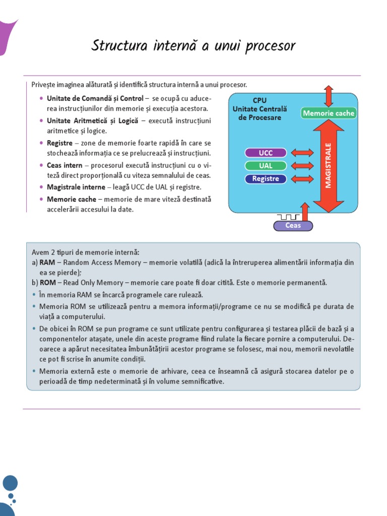 Structura Interna A Unui Procesor | PDF
