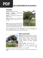Ichu | PDF | Plantas | Horticultura y jardinería