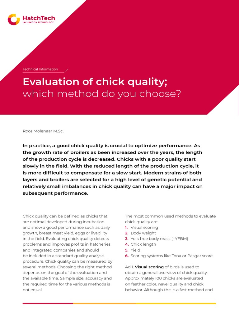 Evaluation of Chick Quality : Which Method Do You Choose? | PDF ...