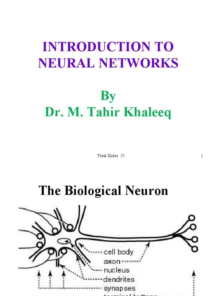 Introduction To Neural Networks | PDF | Neuron | Dendrite