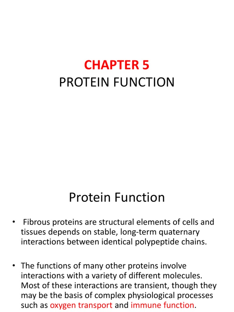 Ch5. ST - Lecture4 Function | Download Free PDF | Hemoglobin | Binding Site