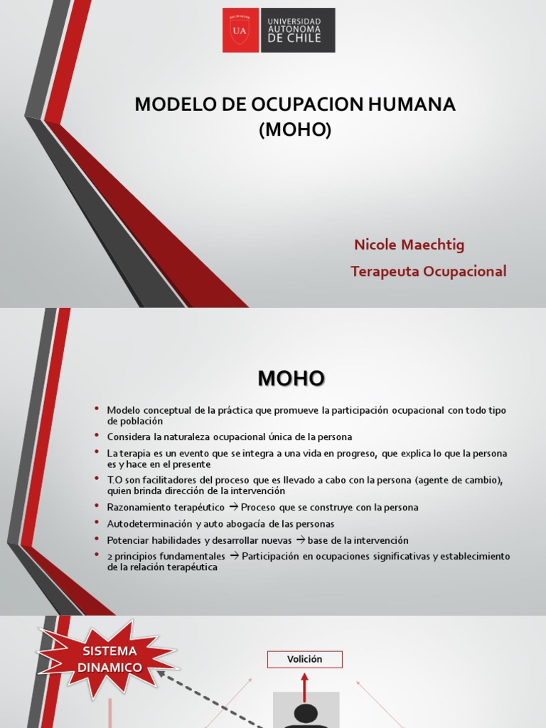 Moho | Descargar gratis PDF | Evaluación | Mente