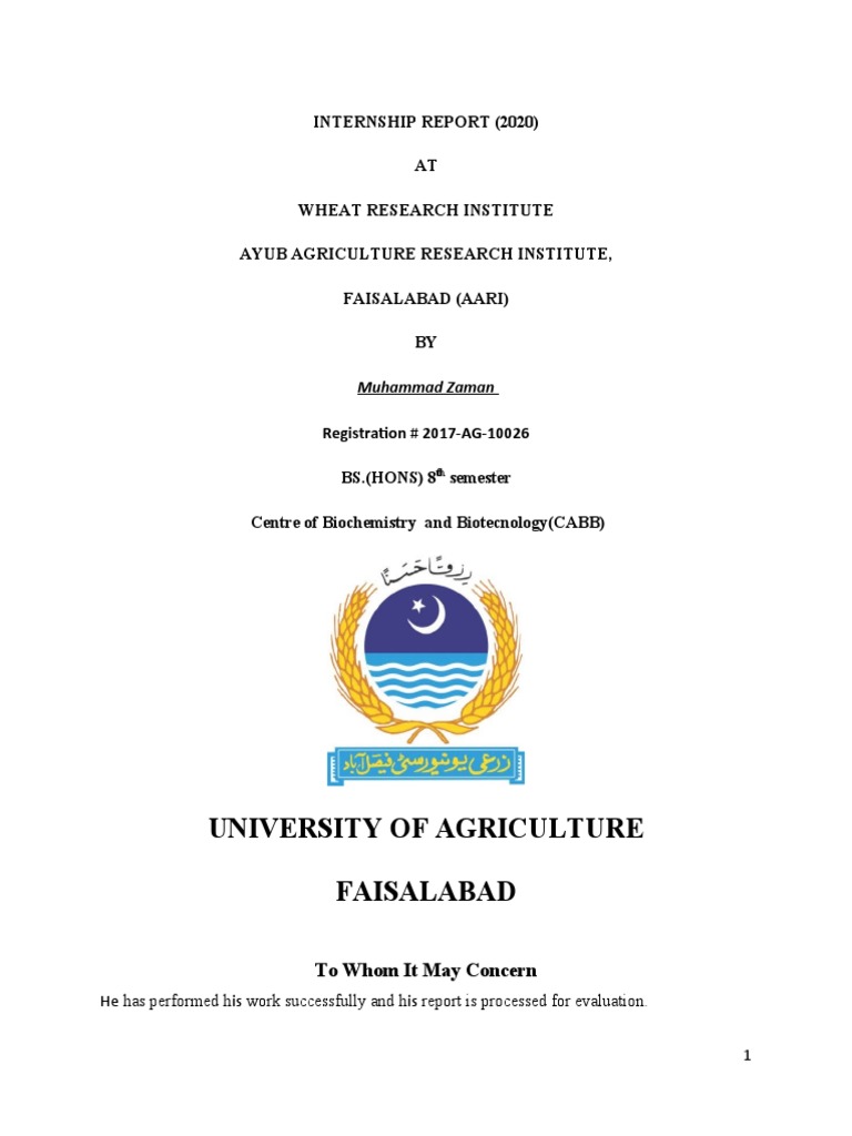 Final Report | PDF | Wheat | Agriculture