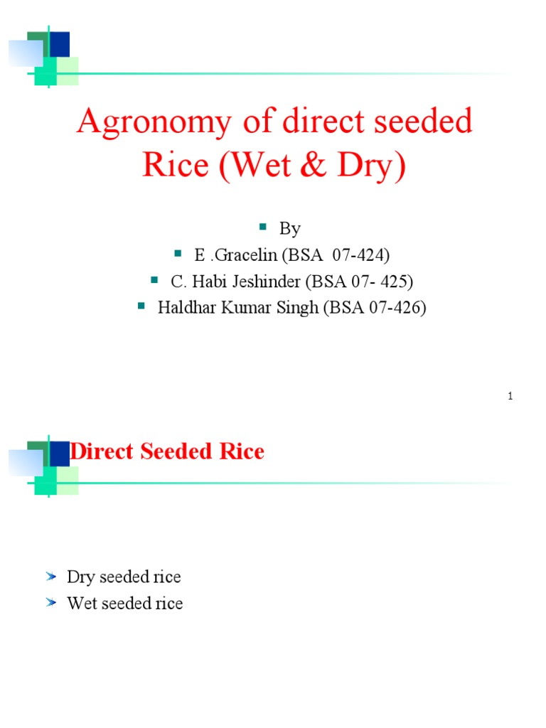 Agronomy of Direct Seeded Rice | Download Free PDF | Seed | Rice