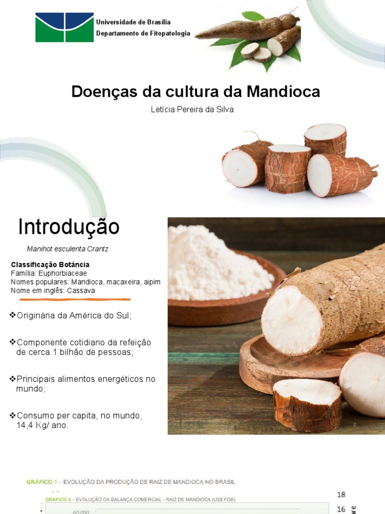 Doenças Da Cultura Da Mandioca | PDF | Vírus | Bactérias