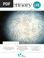 IRIS Pocket Guide To CKD PDF | PDF | Chronic Kidney Disease | Creatinine