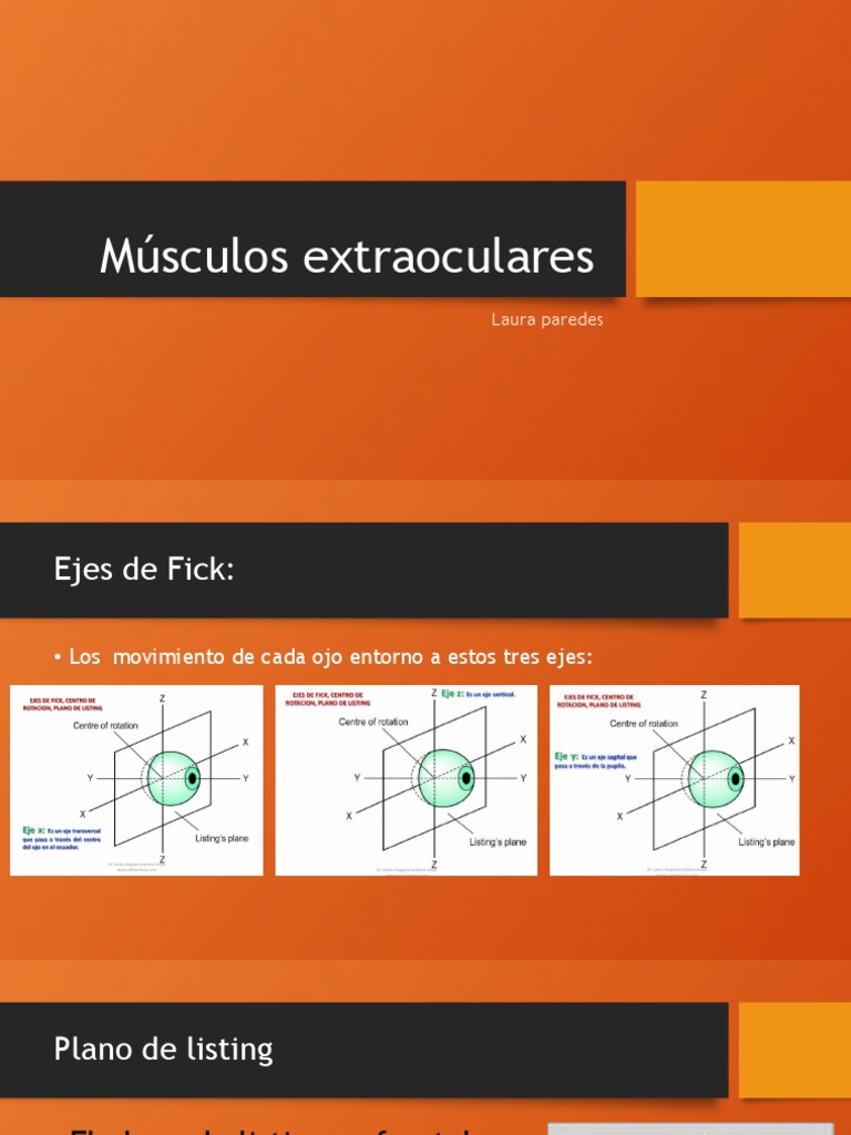 Músculos Extraoculares | PDF | Músculo | Ojo