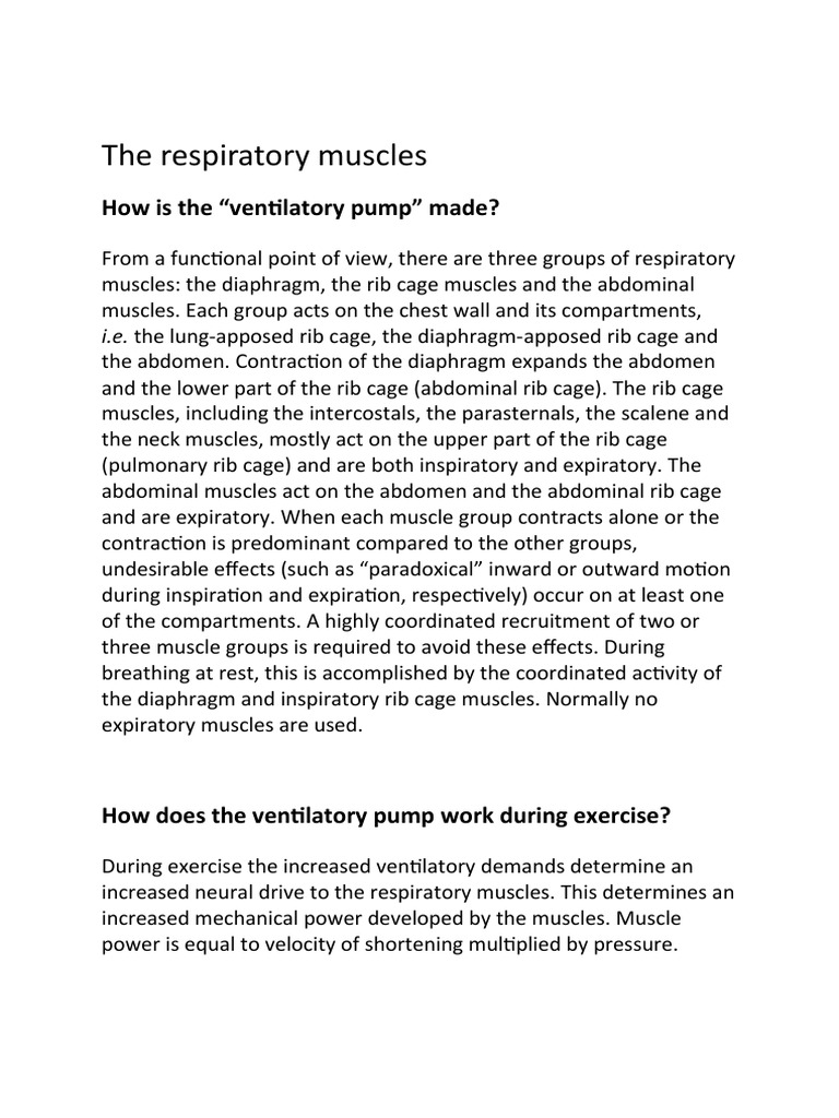 The Respiratory Muscles: How Is The "Ventilatory Pump" Made? | PDF ...
