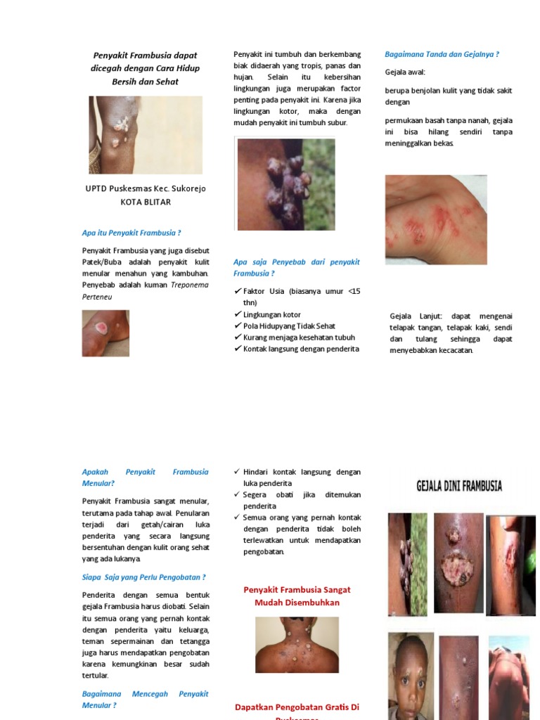 Data Leaflet Frambusia | PDF